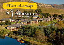 Holiday Options - News and Developments